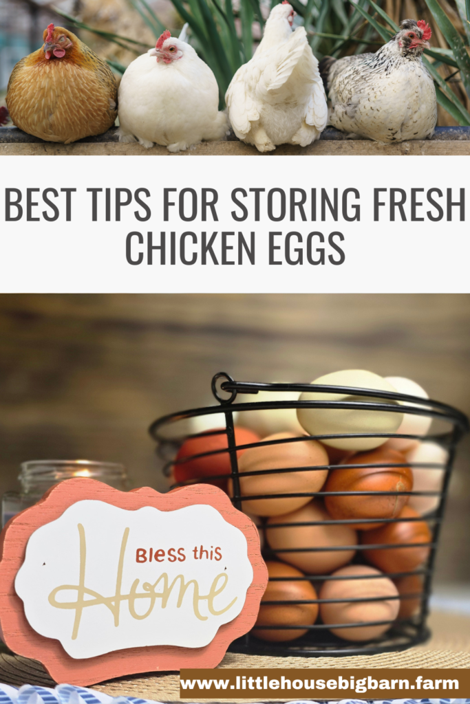 The Ultimate Guide to Storing Freshly Laid Chicken Eggs ...