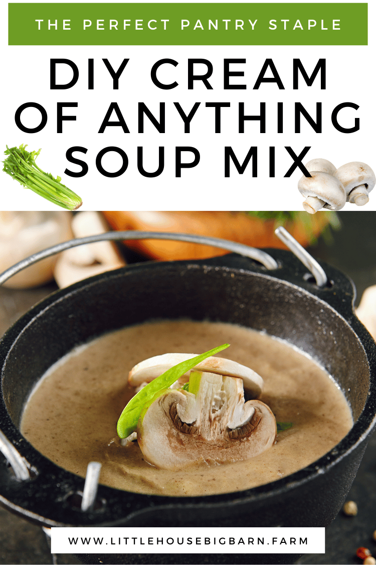 Simple DIY Recipe for Homemade Cream of Anything Soup Mix ...