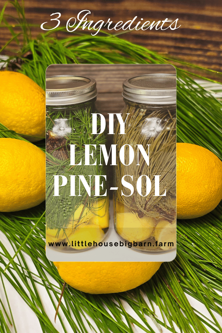Make Your Own Lemon Pine-Sol With Just 3 Simple Ingredients ...