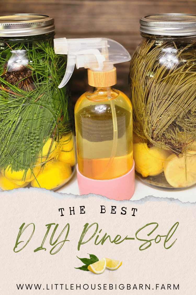 Make Your Own Lemon Pine-Sol With Just 3 Simple Ingredients ...