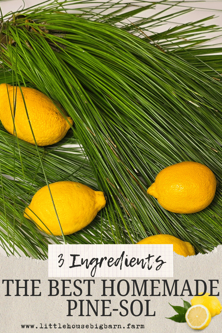 Make Your Own Lemon Pine-Sol With Just 3 Simple Ingredients ...