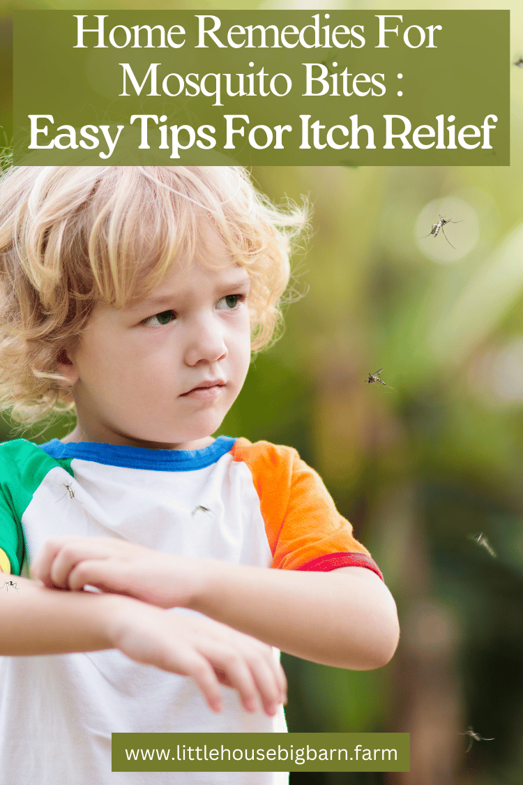 6 Natural Remedies To Get Quick Relief From Mosquito Bites ...