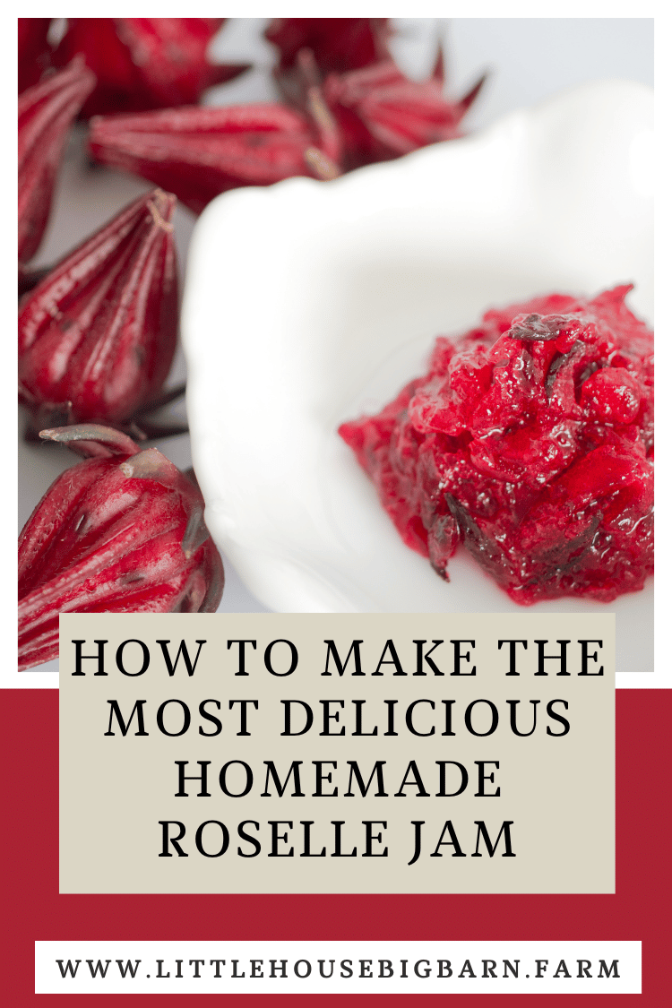 How to Make The Most Delicious Homemade Roselle Jam - Littlehousebigbarn