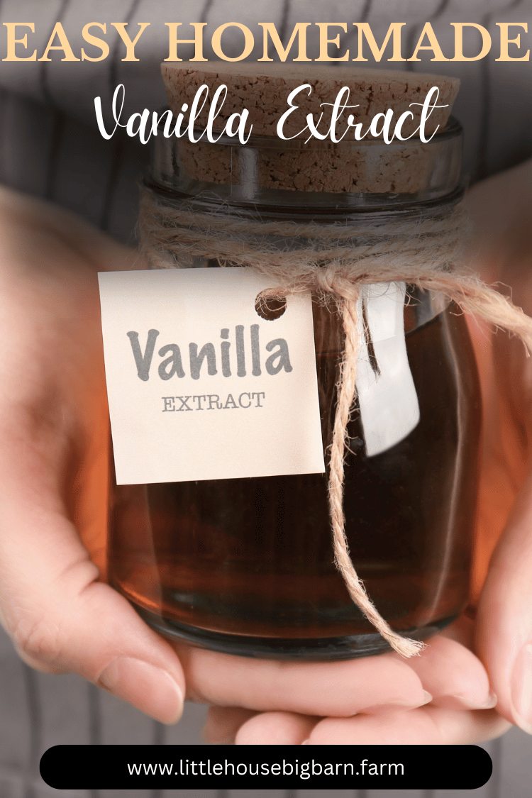 The Best Homemade Vanilla Extract by Little House Big Barn ...